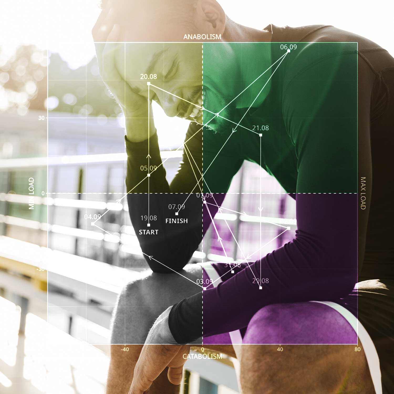 Summa Anabolic Mapping – Summa Labs